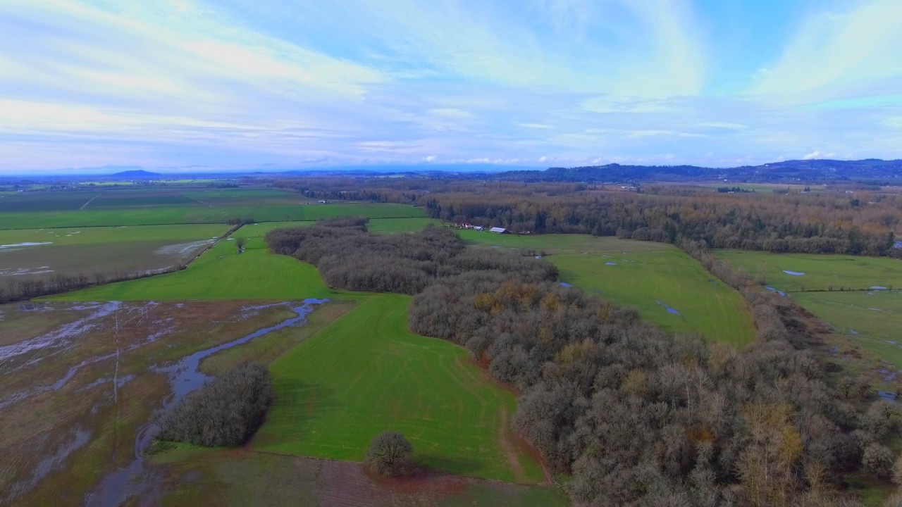 Hess Rd, Scio Oregon - YouTube