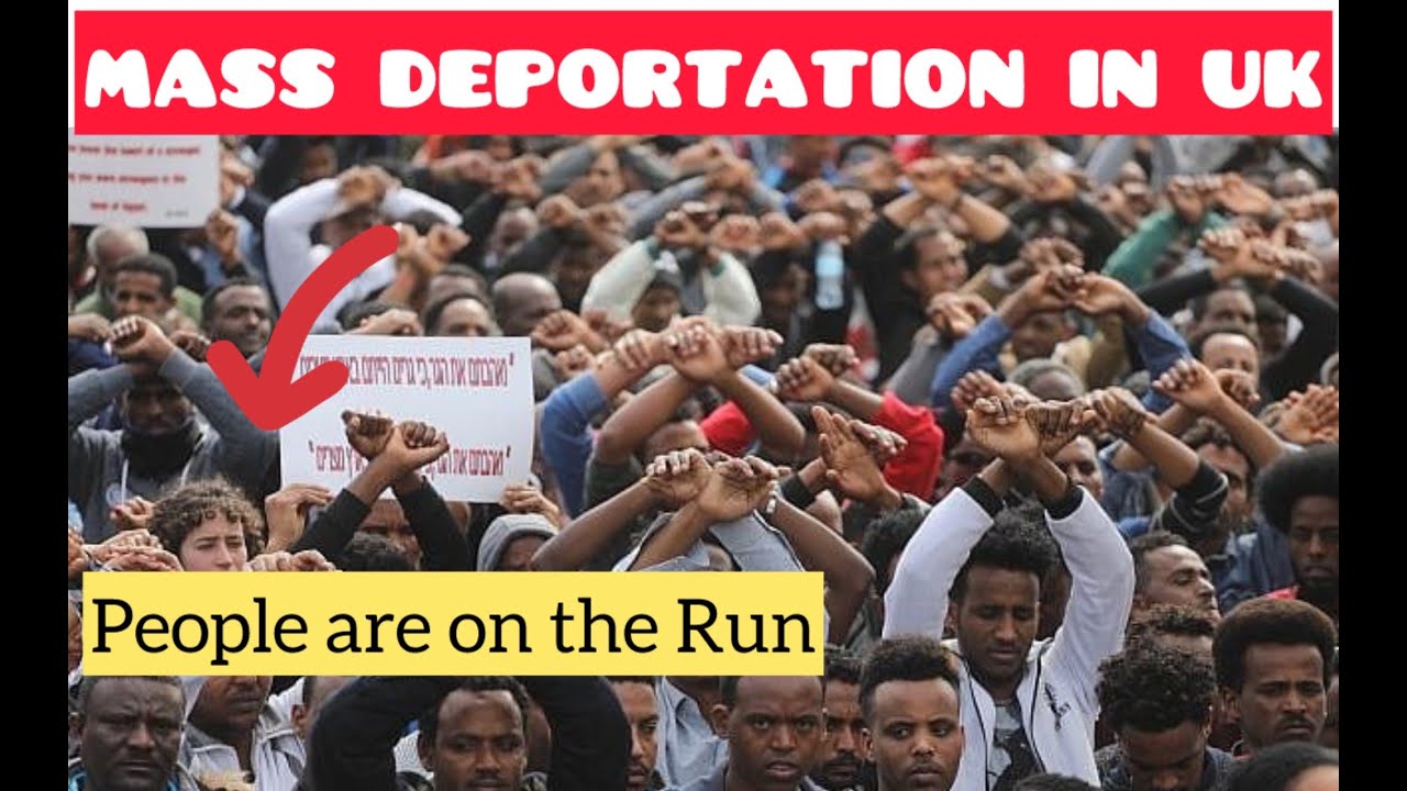 Mass Deportation In The Uk Many People Are On The Run Youtube