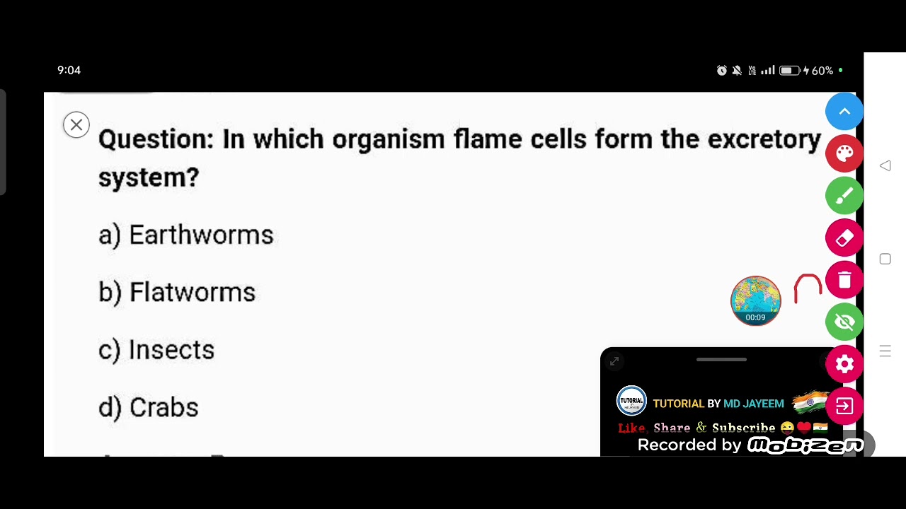 In which organism flame cells form the excretory system? - YouTube