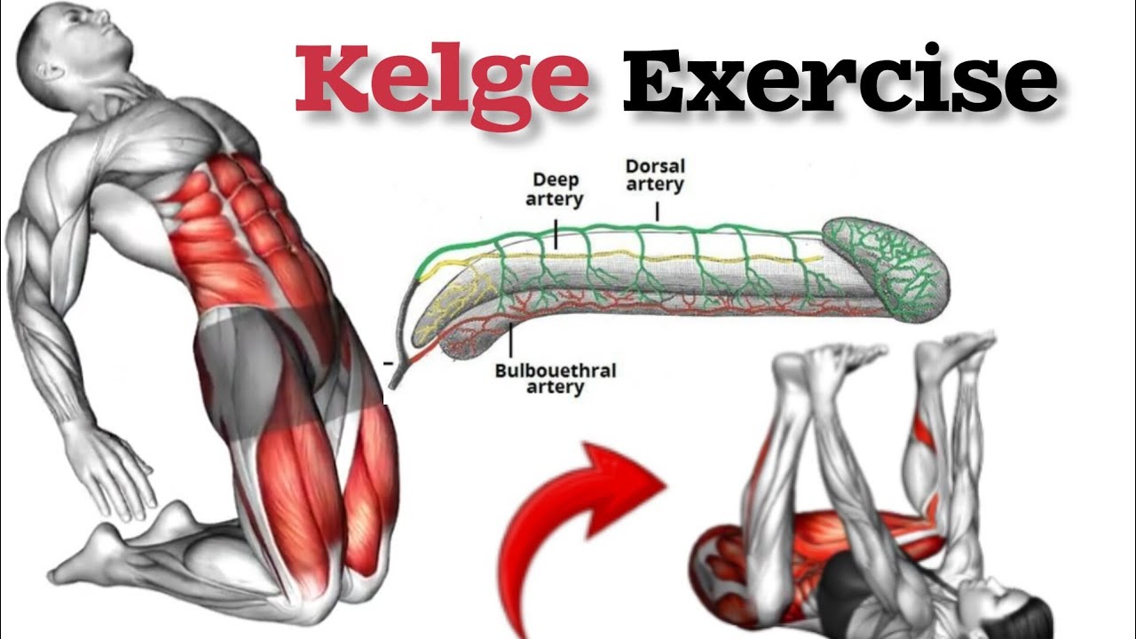 kelge Exercise For Men (Pelvic Floor Exercise) #kegels #testosterone # ...