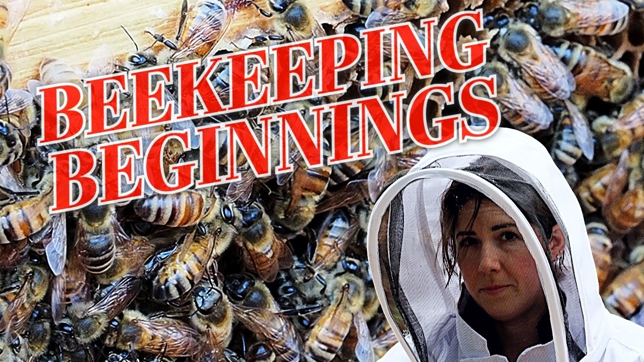 Beekeeper Beginings: Our First Hive - YouTube