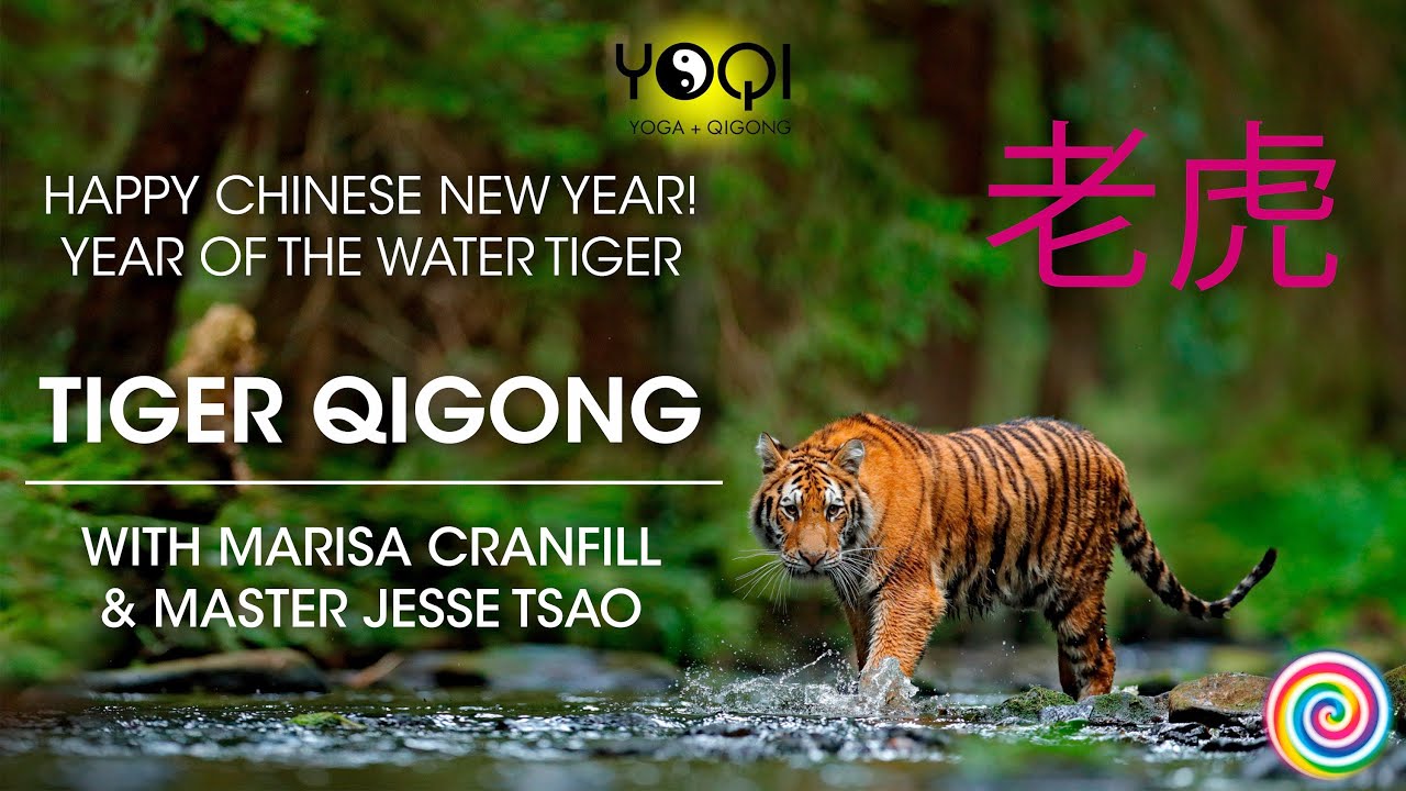TIGER QIGONG - YouTube
