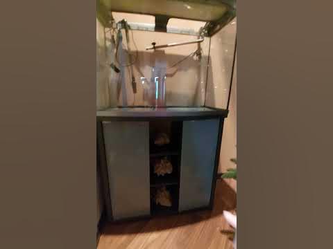 Аквариум Tetra AquaArt 130л панорамный Германия - YouTube
