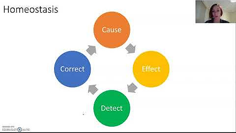 QCAA 2019 Biology Unit 2 (Topic 1) - Maintaining the internal ...