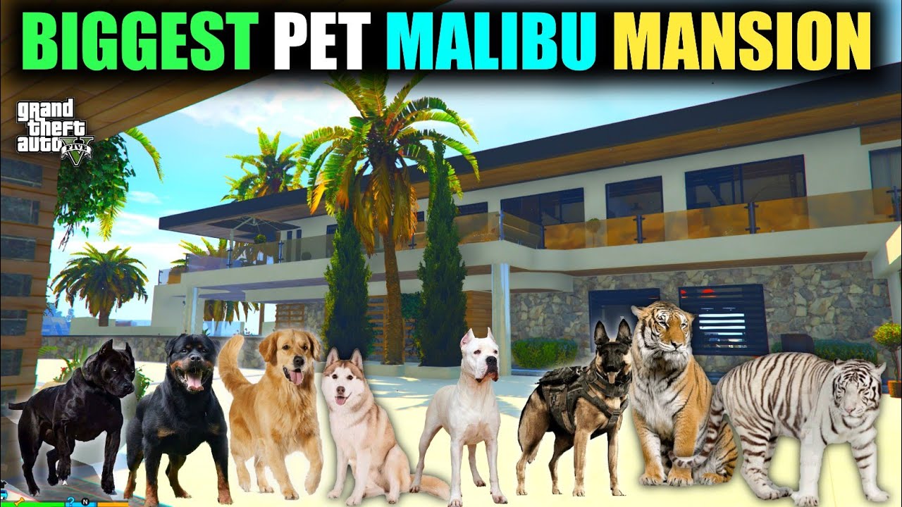 Gta 5 : Biggest Pet (MALIBU MANSION) Finally Ready For Our PETS /Jordan ...