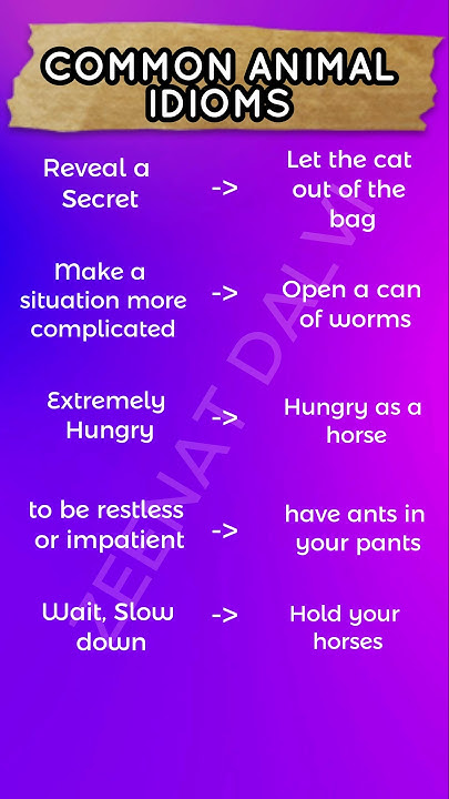 Common Animal Idioms #english #englishidioms #shortsfeed #learnenglish ...
