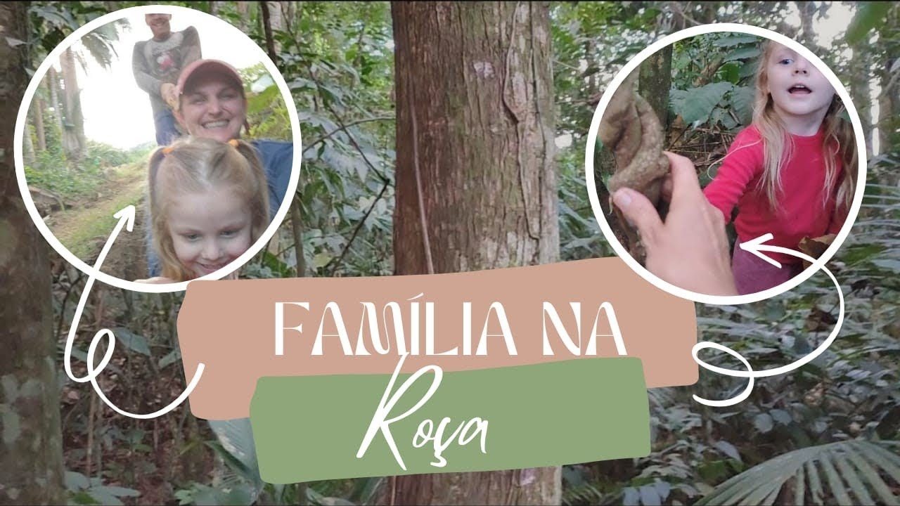 VIDA SIMPLES E FELIZ/PIQUENIQUE NA NATUREZA🍊🧃/AVENTURA E BRINCADEIRAS ...