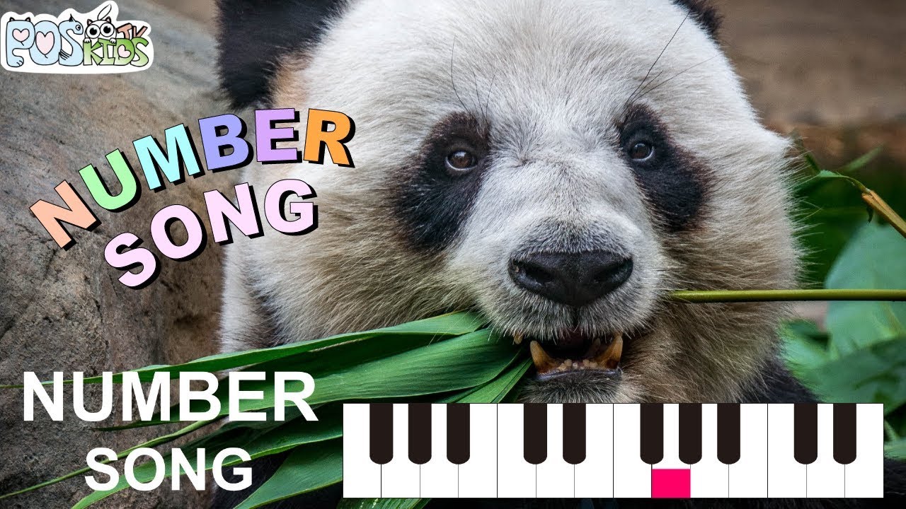 NUMBER SONG : Learn Numbers with Animal Photos !! - YouTube
