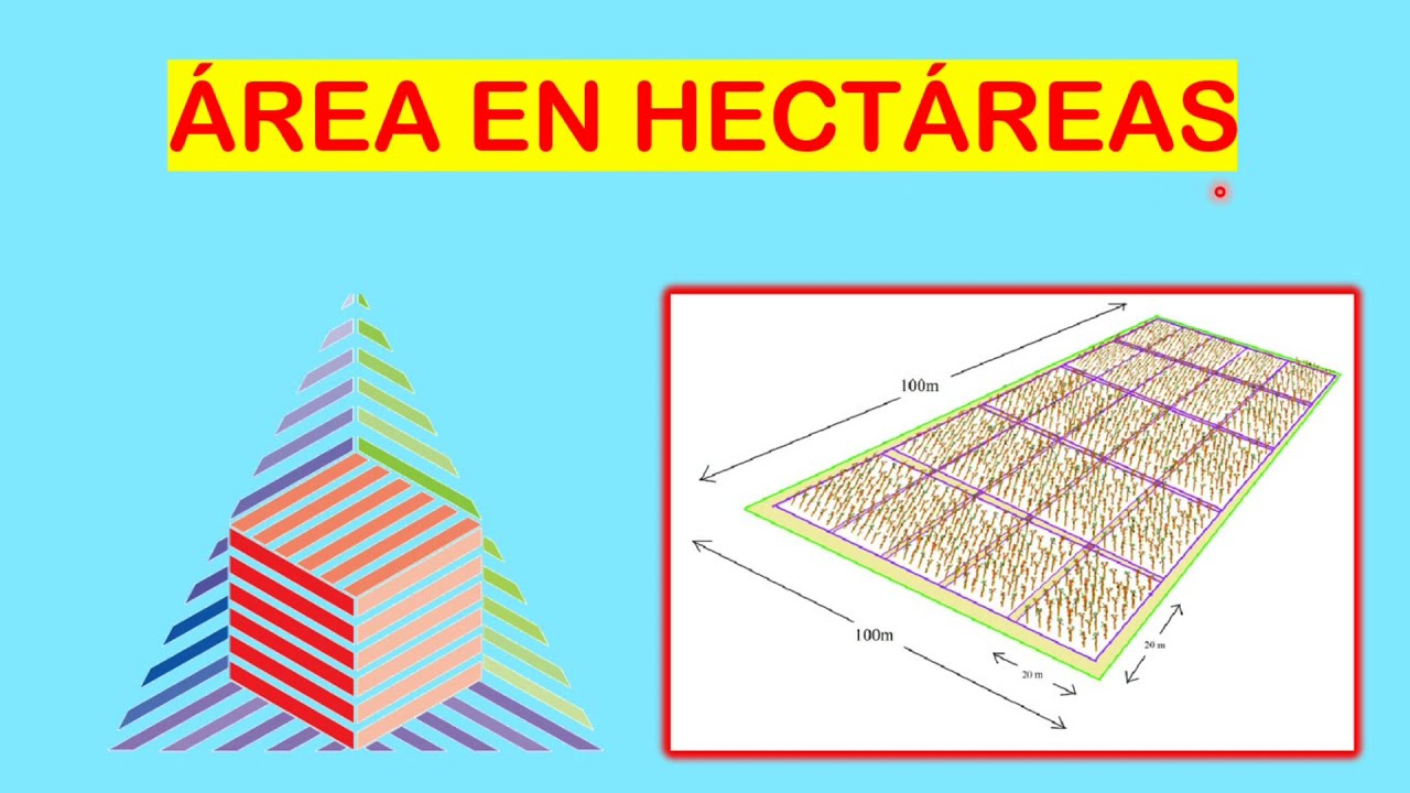 1 9 REAS EN HECT REAS UNIDAD 6 Cuarto Grado YouTube