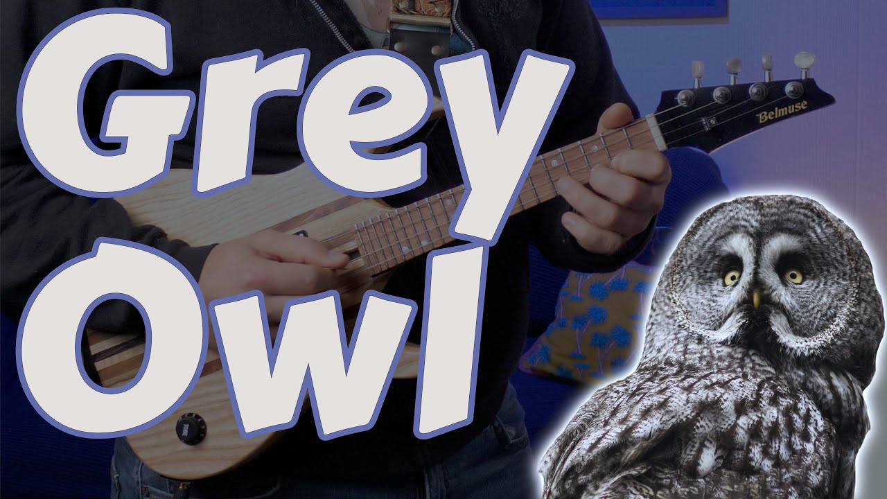 Grey Owl // Belmuse Wildwood 4 String Electric Mandolin - YouTube