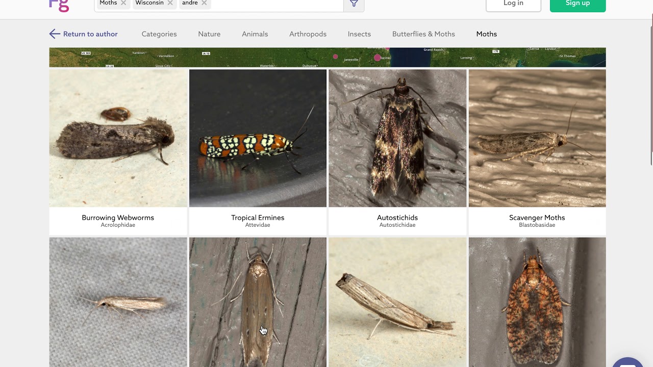How to search on Fieldguide.ai website - YouTube