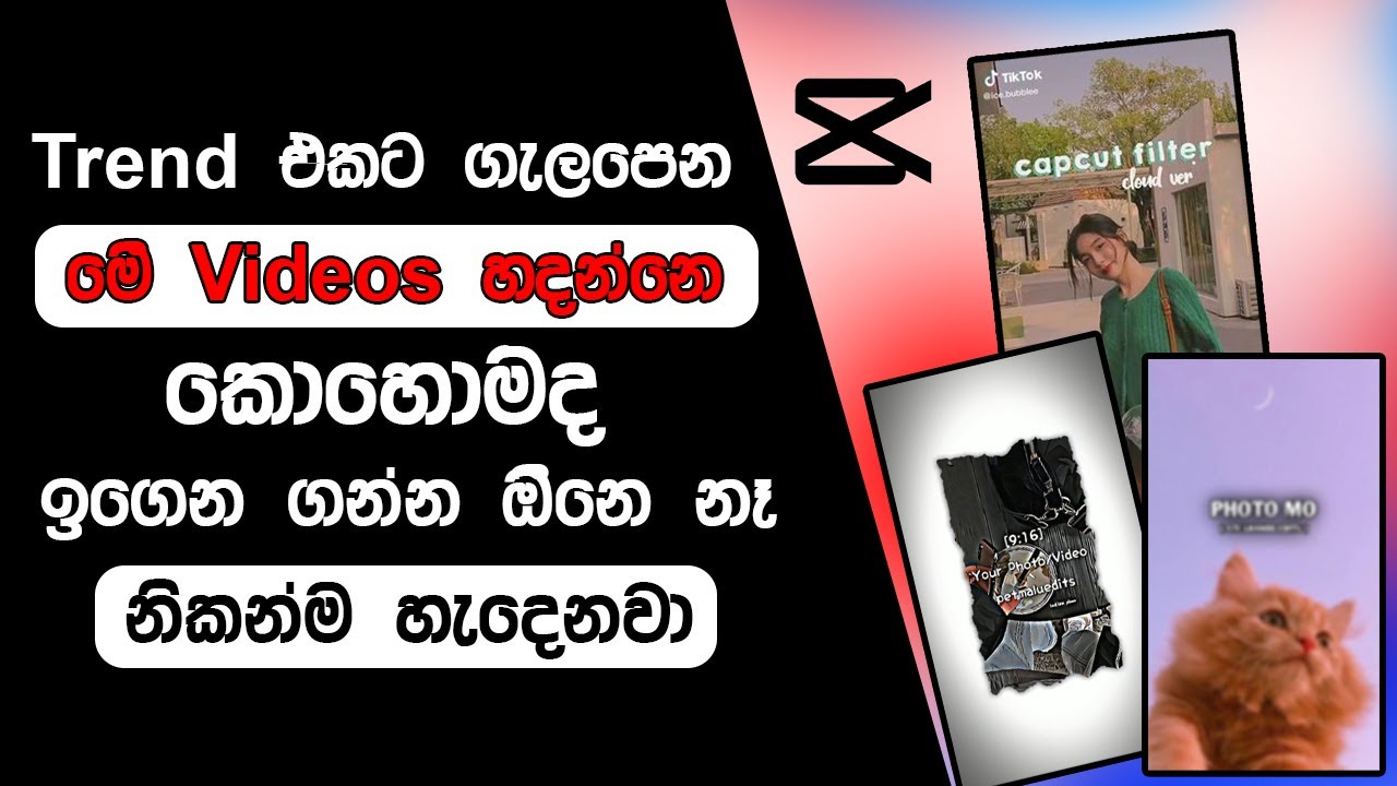 New Capcut Trend Begging Template Sinhala Tik Tok Trending New Capcut Trend Begging Template Sinhala Tik Tok Trending