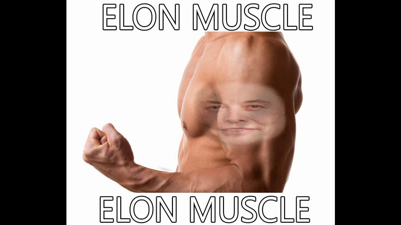 Elon Muscle - YouTube