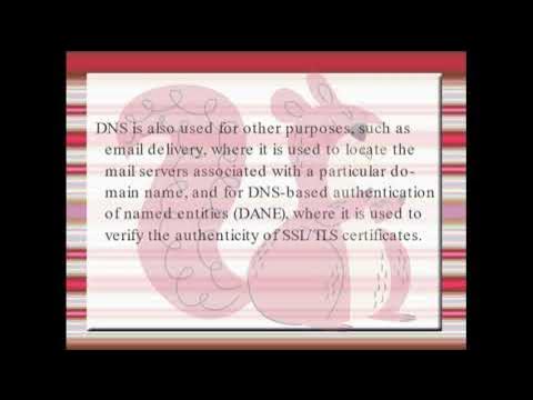 DNS - Domain Name System: CCNA Training - YouTube