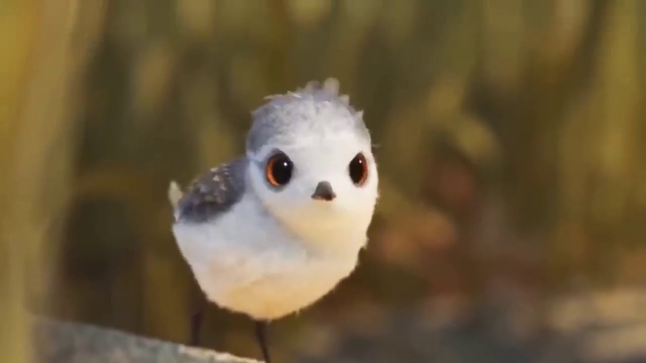 Motivational Animated Short Film That Will Make Your Day||Piper Disney ...