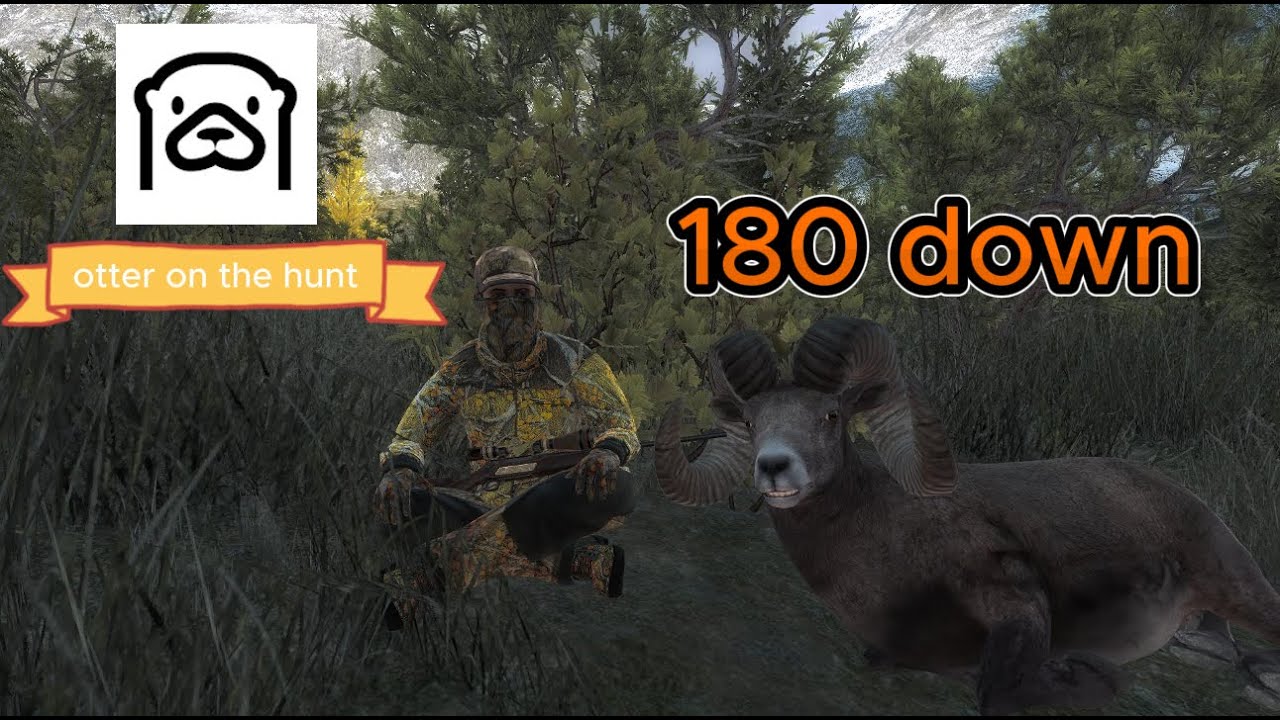 big horn hunt in the mountains (going for a trophy lodge kill) - YouTube