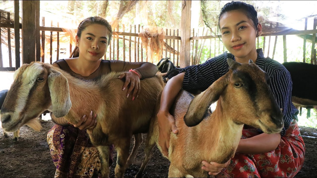 Yummy cooking goat grilled recipe - Cooking skill - YouTube