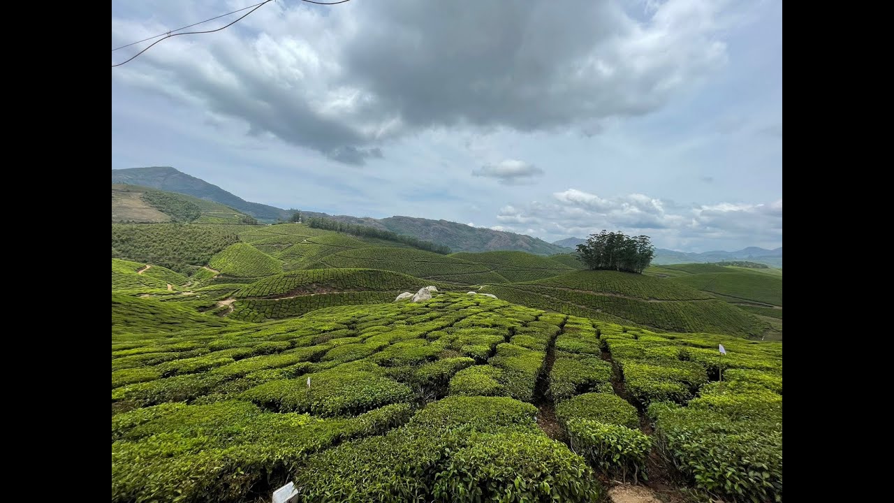 Places to visit in India Ep 20 Tea factory museum Munnar - YouTube