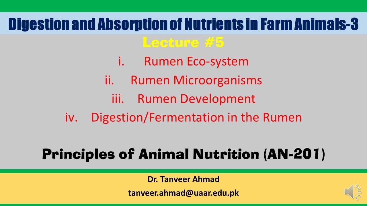 Lecture#5 Digestion and Absorption in Animals-Rumen Microorganisms ...