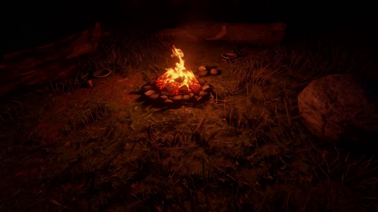 Campfire Night in The Forest - Soothing natural sounds - HD - YouTube