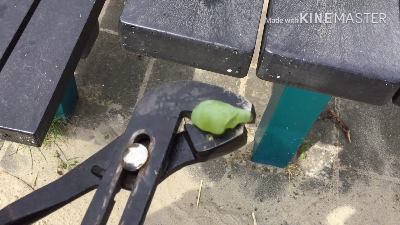10 ways to kill a grape - YouTube