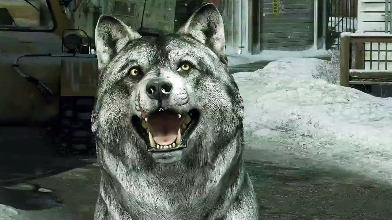 Call of Duty Ghosts - Wolves attack - YouTube