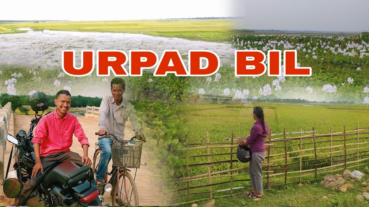 Urpad beel - YouTube