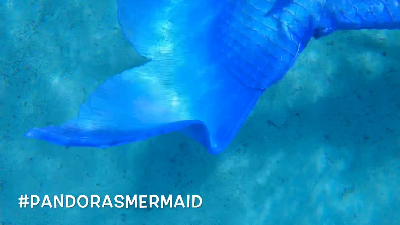 Real Mermaid Sighting Florida! - YouTube