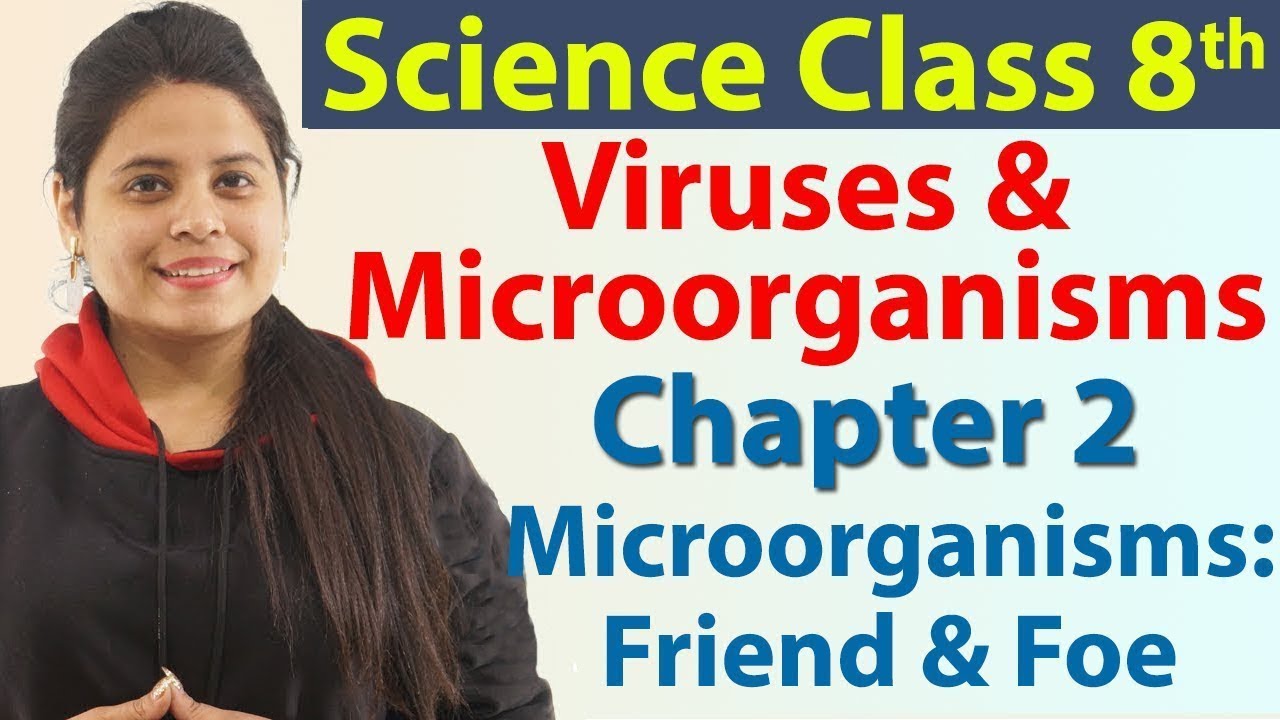 Viruses & Microorganisms - Chapter 2 - Microorganisms: Friend & Foe ...