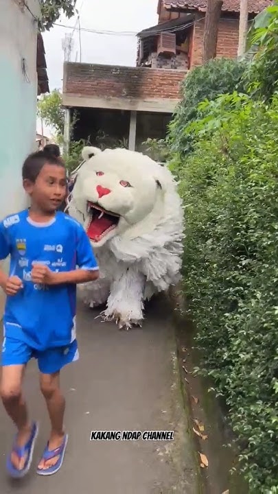 Bocil ff kaos biru lari dikejar can macanan‼️ #macanan #canmacanan #viralvideo - YouTube