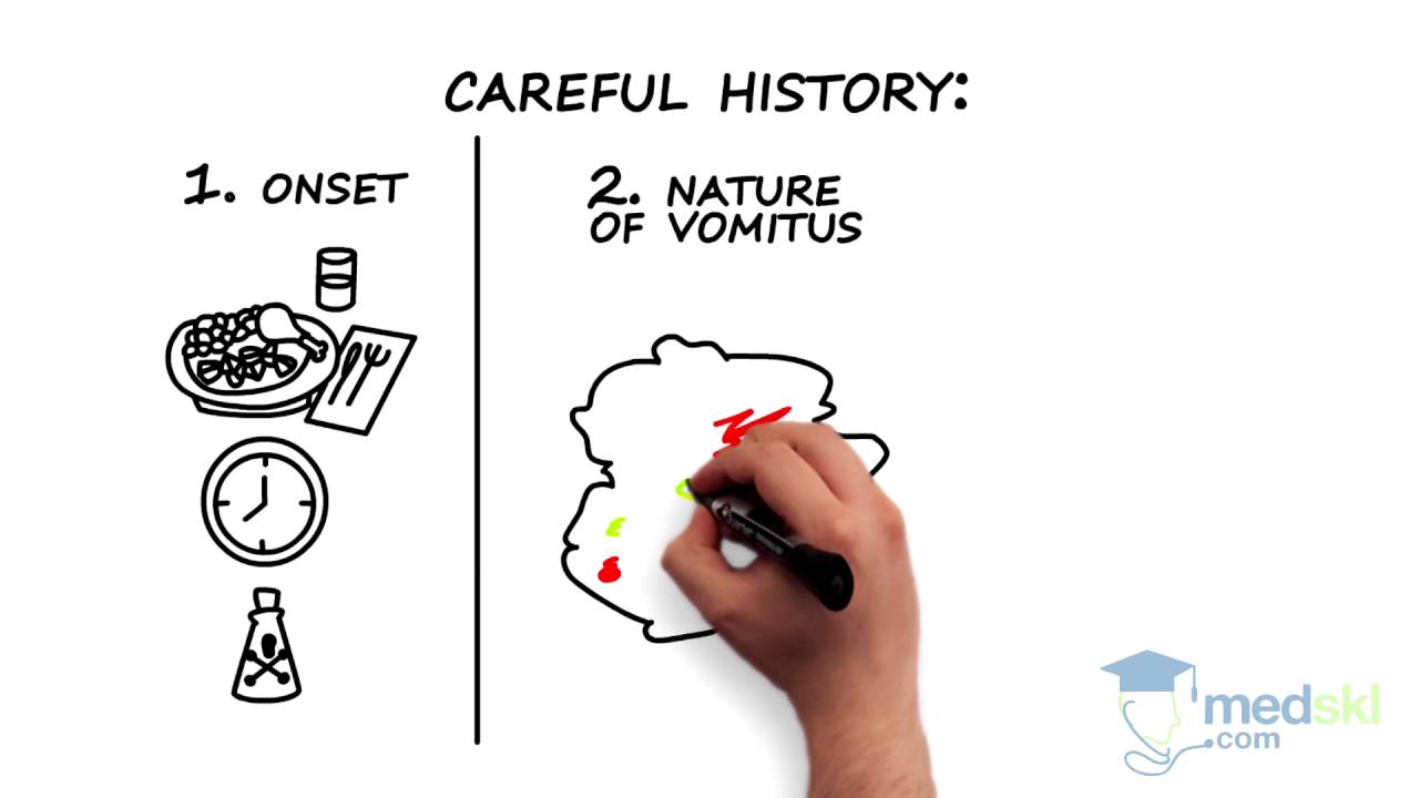 Gastroenterology - Nausea and Vomiting: By Eldon Shaffer M.D. - YouTube