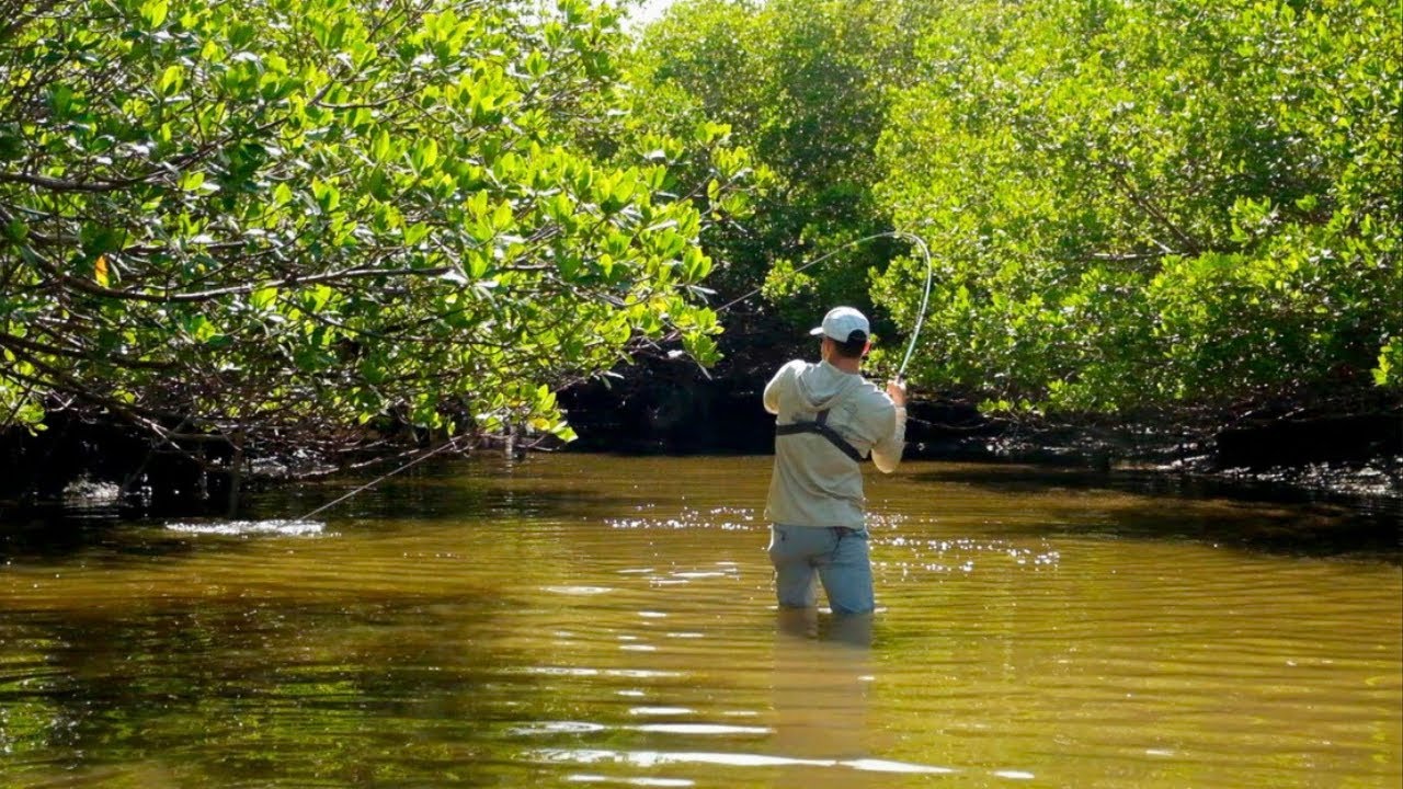 Sight Casting BIG Redfish in INCHES of Water - YouTube