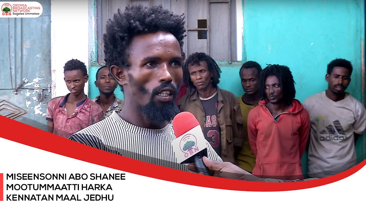 Miseensonni ABO Shanee Mootummaatti harka kennatan maal jedhu - YouTube