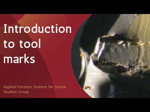Introduction to Tool Mark's - YouTube