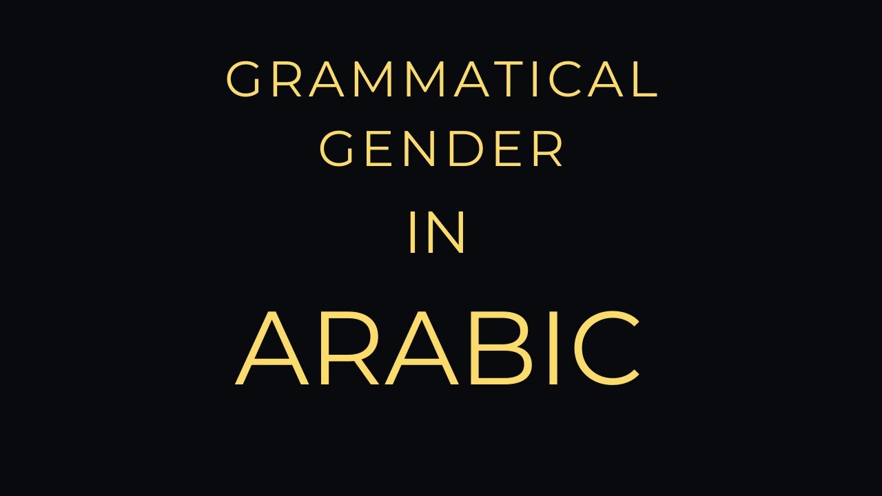 Your Ultimate Guide To Mastering Word Gender In Arabic – FDOMF