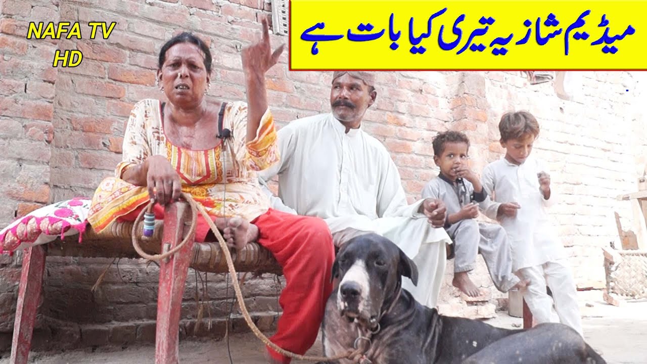 Best of Pakistan Bully Dog Lover Madam Shazia By Pakistani Bully Kutta ...