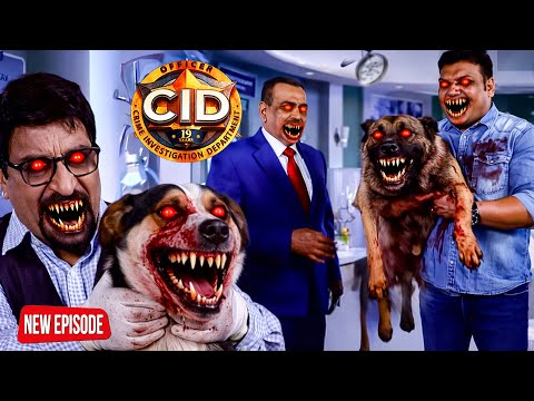 CID में खूंखार कुत्तों का आतंक 😱 | हॉरर एपिसोड | CID TEAM || New Episode 2026 | Insaf Ki Duniya
