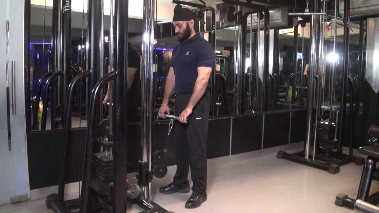 Forearms Extensors Straight Arms Cable Reverse Wrist Curls With