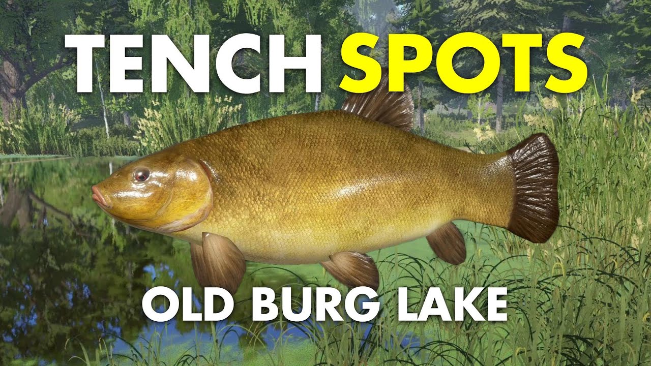 Russian Fishing 4 TENCH SPOT Old Burg Lake - YouTube