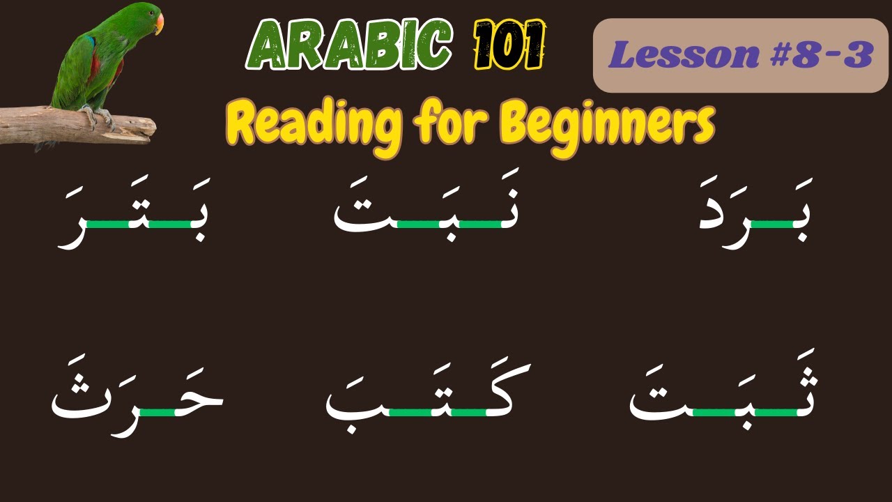 Mastering Arabic Reading : A Step-by-Step Guide. Lesson: 3 - YouTube