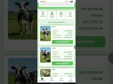 Oʻzbekcha saytda har kuni pul ishlash | Internetda pul ishlash 2026