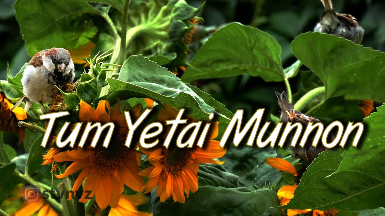 Tum Yetai Munnon Konkani Song Lyrics │Lyrics & Tune- Dony Correa│Singer ...