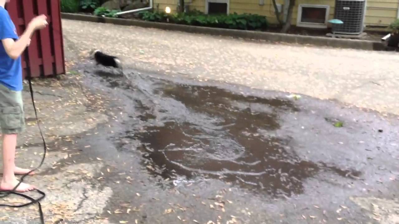 Giant puddle! - YouTube