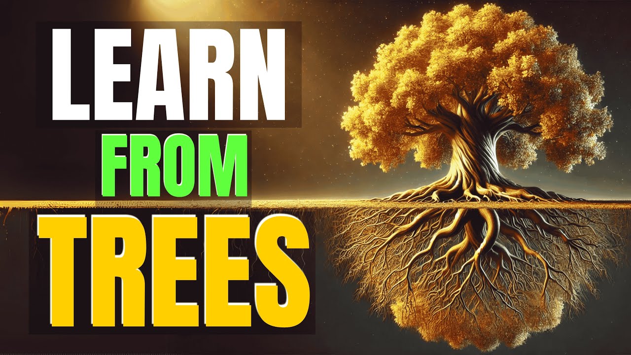 Trees Don't Rush—And That's Exactly What We Need to Learn - YouTube