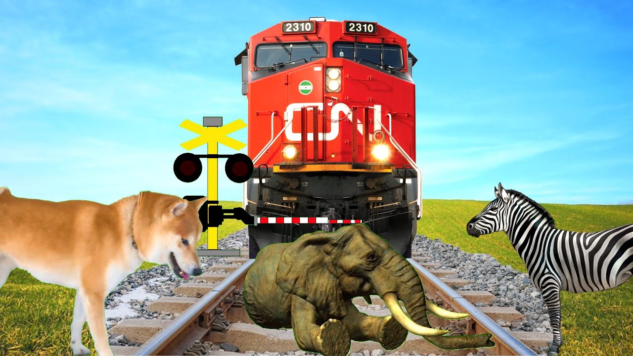 Elephant sleep in track | Elephant vs Train | Elephant stops the train ...