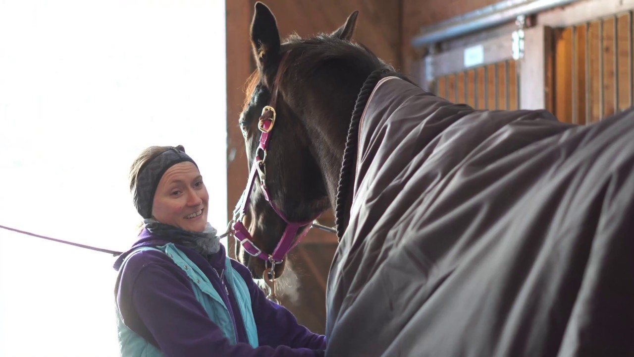 Inish Beg Farm - Way life should be - YouTube