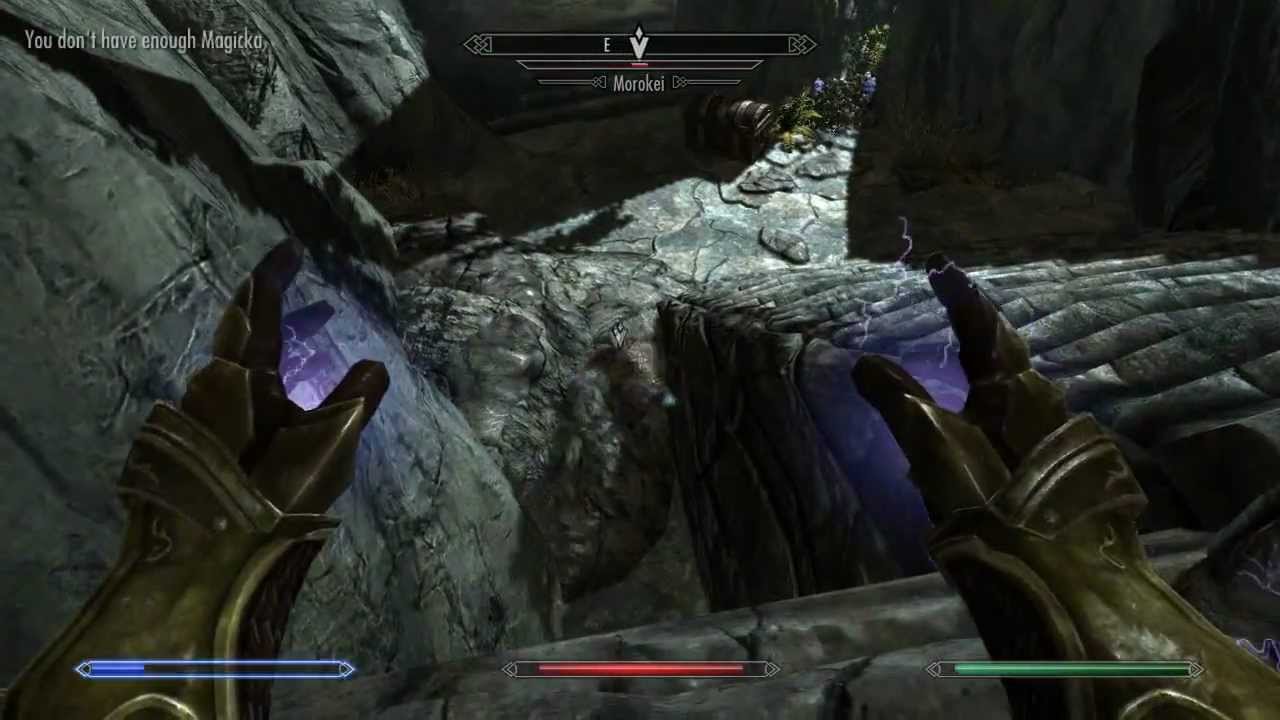 SKYRIM: Killing Morokei on MASTER w/ Weslebear + My character setup ...