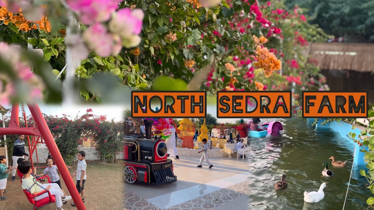 North Sedra Farm Qatar 🇶🇦 #travel #nature #trip #weekend #viral - YouTube