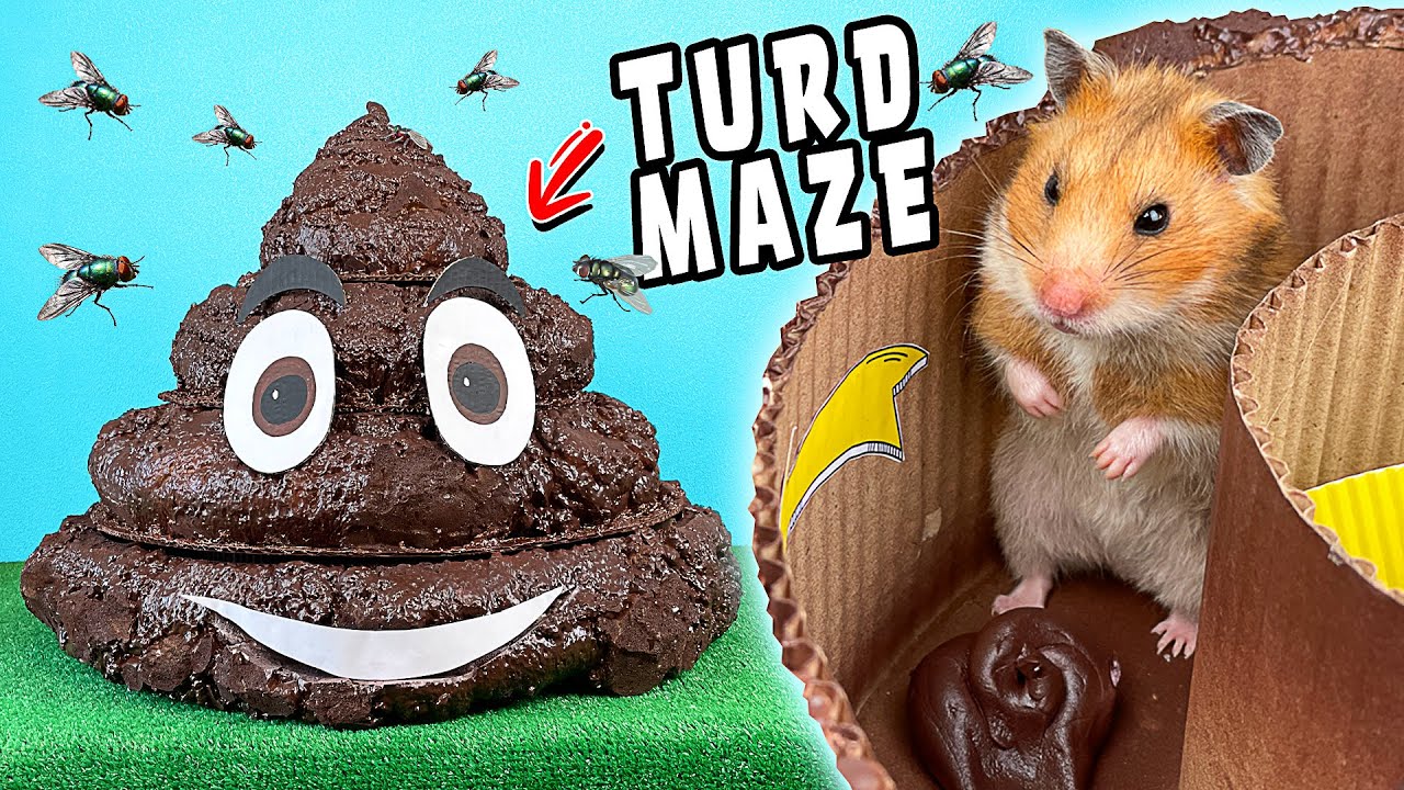 🐹 Hamster Escapes from Turd Maze for Pets in real life 🐹 Hamsters Show ...