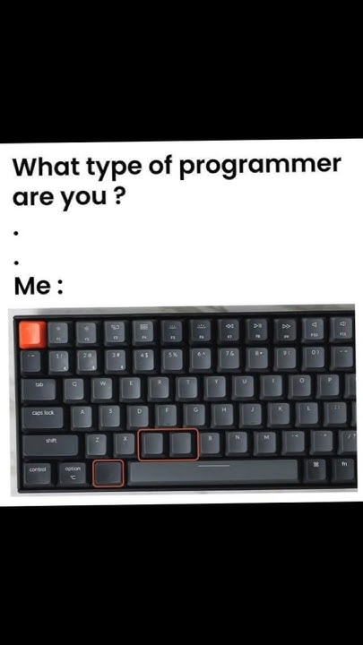 What type of programmer are you? #viralvideo #shortsfeed - YouTube
